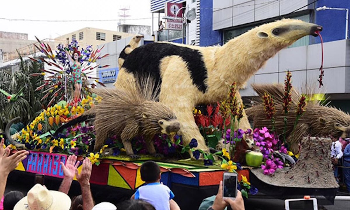 Desfile de carros alegoricos Tabasco 2025: horario, ruta - ConciertosMX
